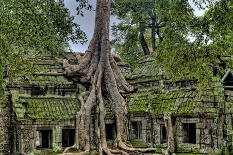 #1 Reason Why Is Angkor Wat So Important For Cambodia?